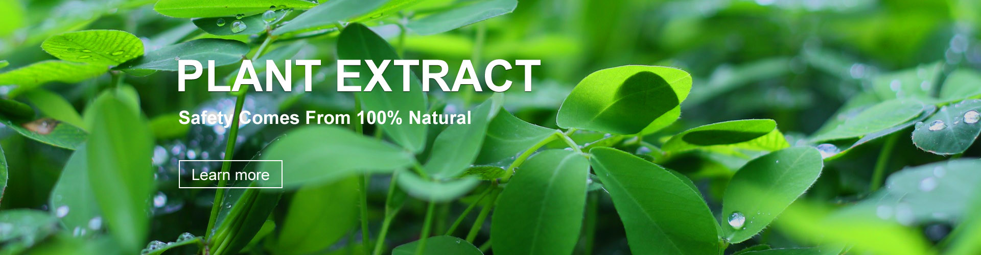 Quality Natural Plant Extract & Fruit And Vegetable Powder factory from ...
