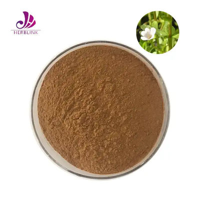 Natural Bacosides A Powder 20% 50% Bacopa Monnieri Extract Powder