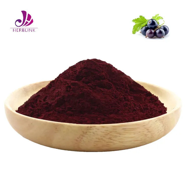 5% 15% 25% Blackcurrant fruit powder Black currant powder Dried ...