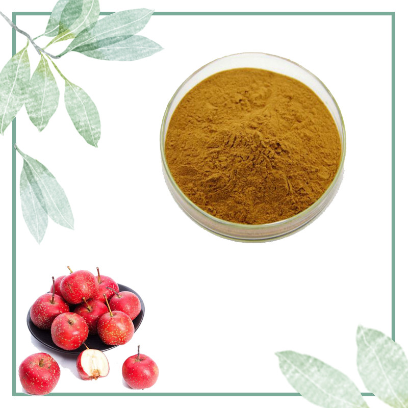 Flavonoids Hawthorn Berry Extract Fruit And Vegetable Powder Crataegus ...