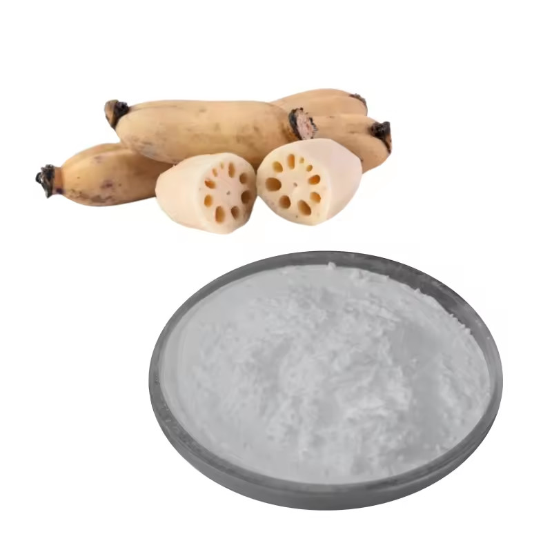 Organic Natural Lotus Root Extract Powder Bulk Lotus Root Starch